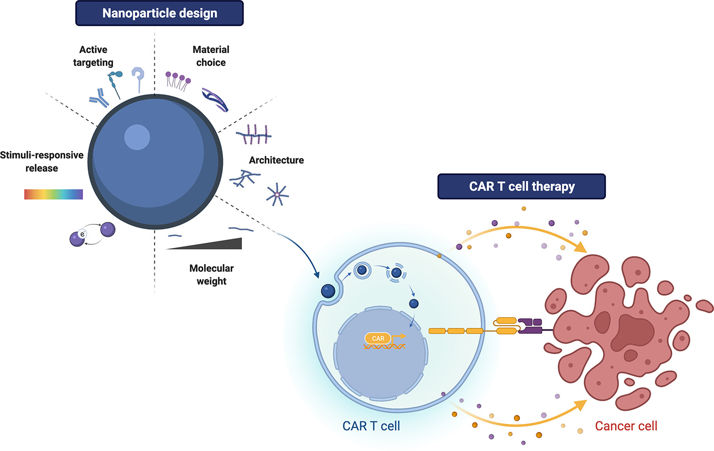 T Cell Gene Therapy
